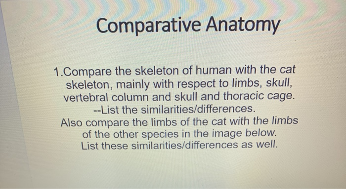 Solved Comparative Anatomy 1.Compare the skeleton of human | Chegg.com