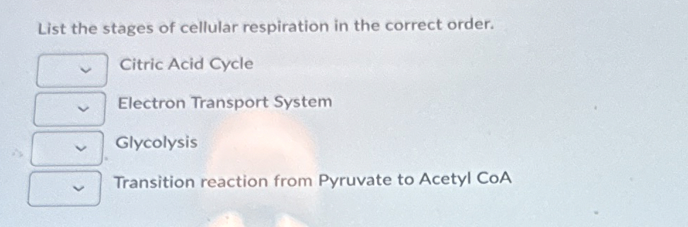 Solved List the stages of cellular respiration in the | Chegg.com