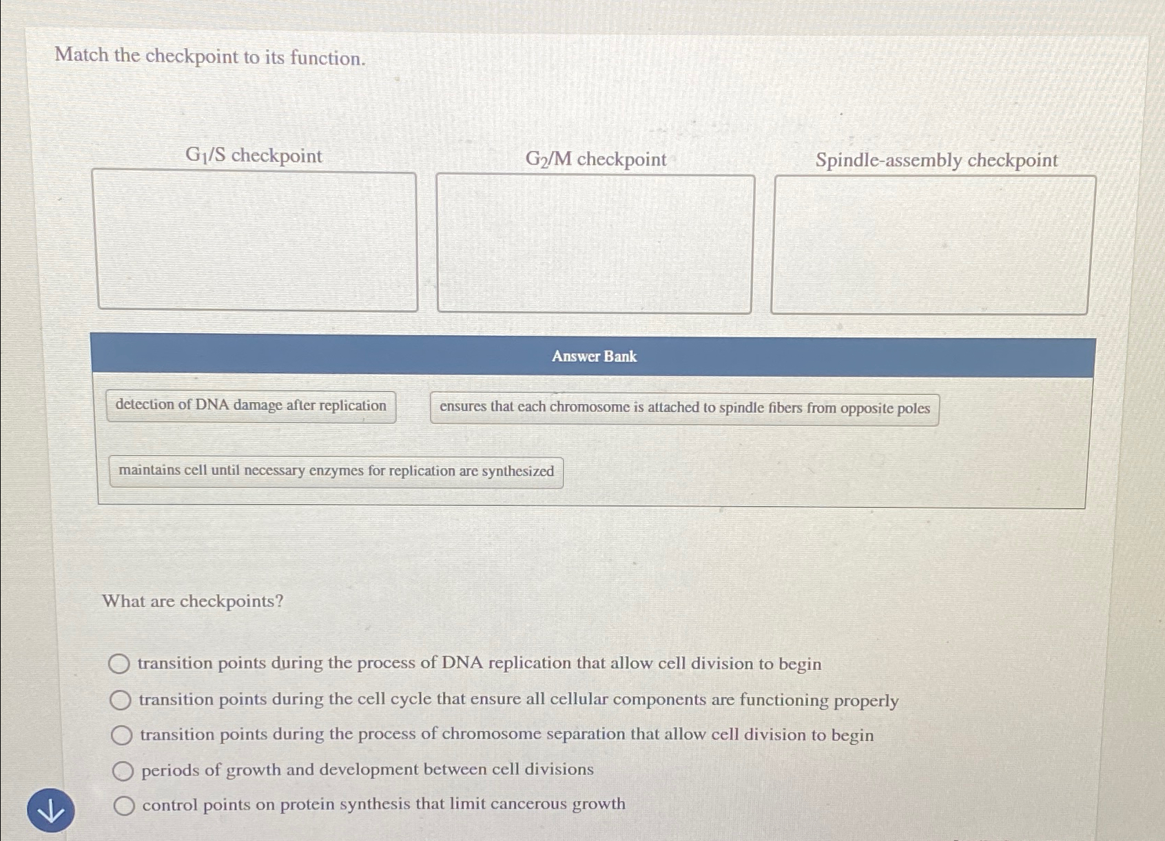 Solved Match the checkpoint to its function.G2M | Chegg.com