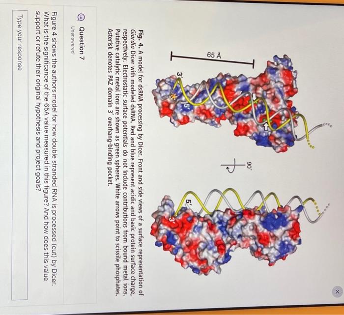 Fig. 1. Giardia encodes an active Dicer enzyme. (A) | Chegg.com