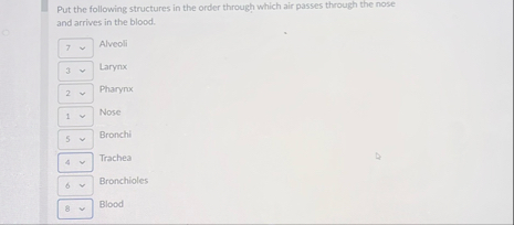 Solved Put the following structures in the order through | Chegg.com