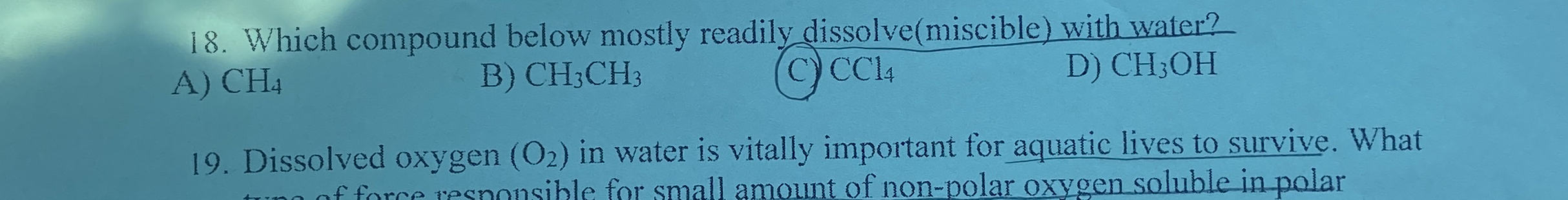 Solved Which compound below mostly readily | Chegg.com
