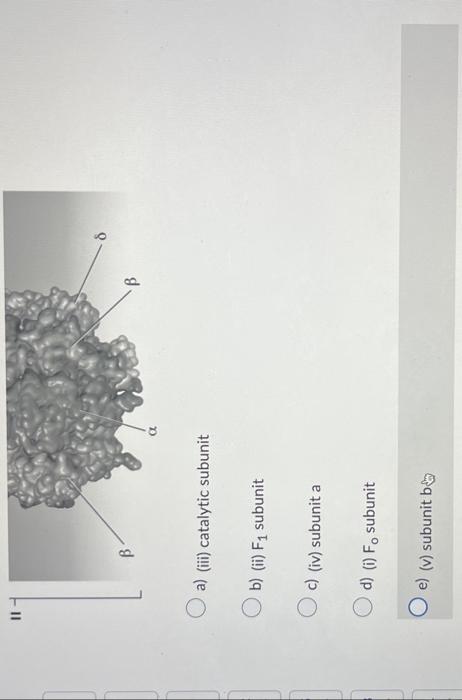 Solved The following diagram shows the structure of the | Chegg.com