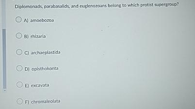 Solved Diplomonads, parabasalids, and cuglenozoans belong to | Chegg.com