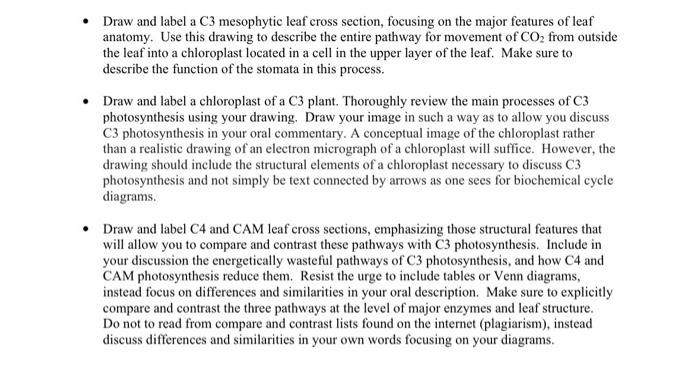 Draw and label a C3 mesophytic leaf cross section, | Chegg.com