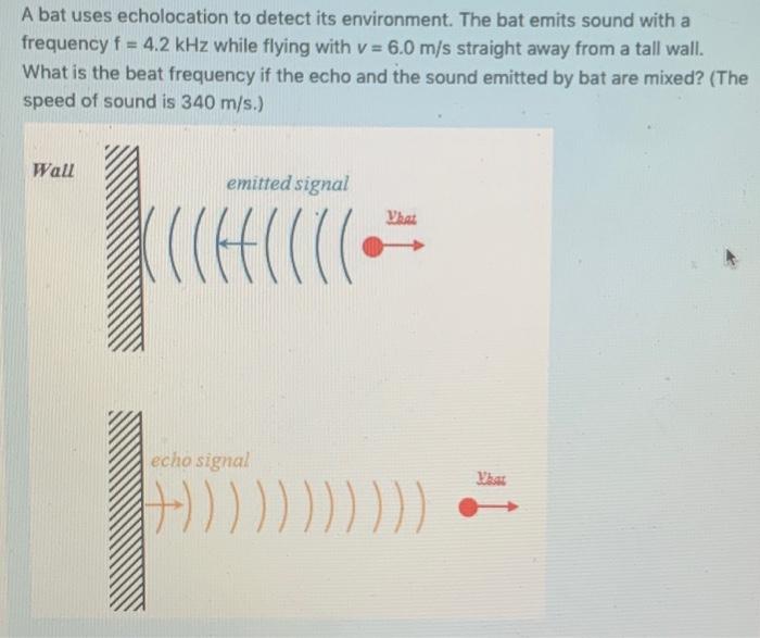 Solved A bat uses echolocation to detect its environment. | Chegg.com