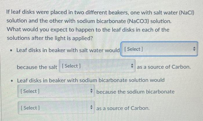 Solved If leaf disks were placed in two different beakers, | Chegg.com