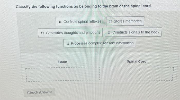 Solved Classify the following functions as belonging to the | Chegg.com