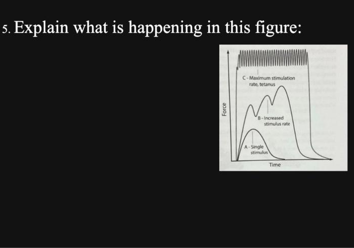 5. Explain what is happening in this figure: | Chegg.com