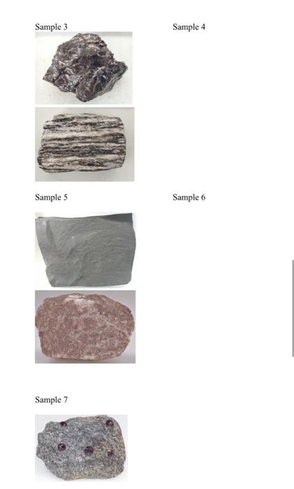 Solved Sample 1 (Hint: fizzes with HCl, acid) (notice the | Chegg.com