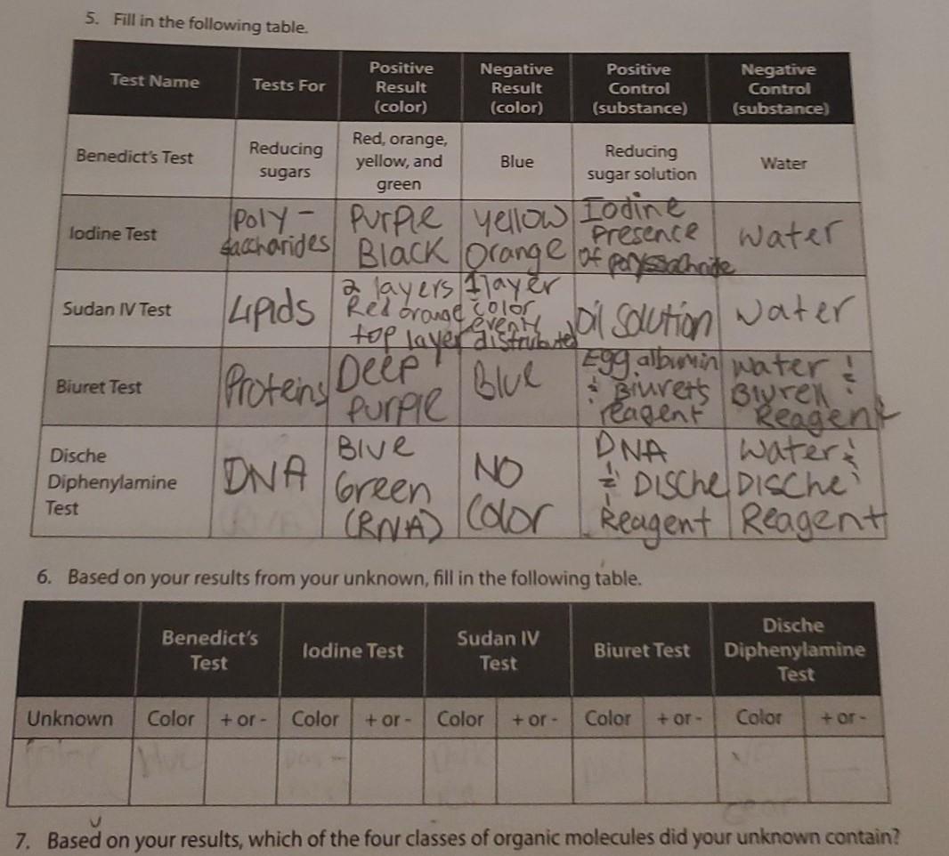 Solved RE! 6. Based on your results from your unknown, fill | Chegg.com