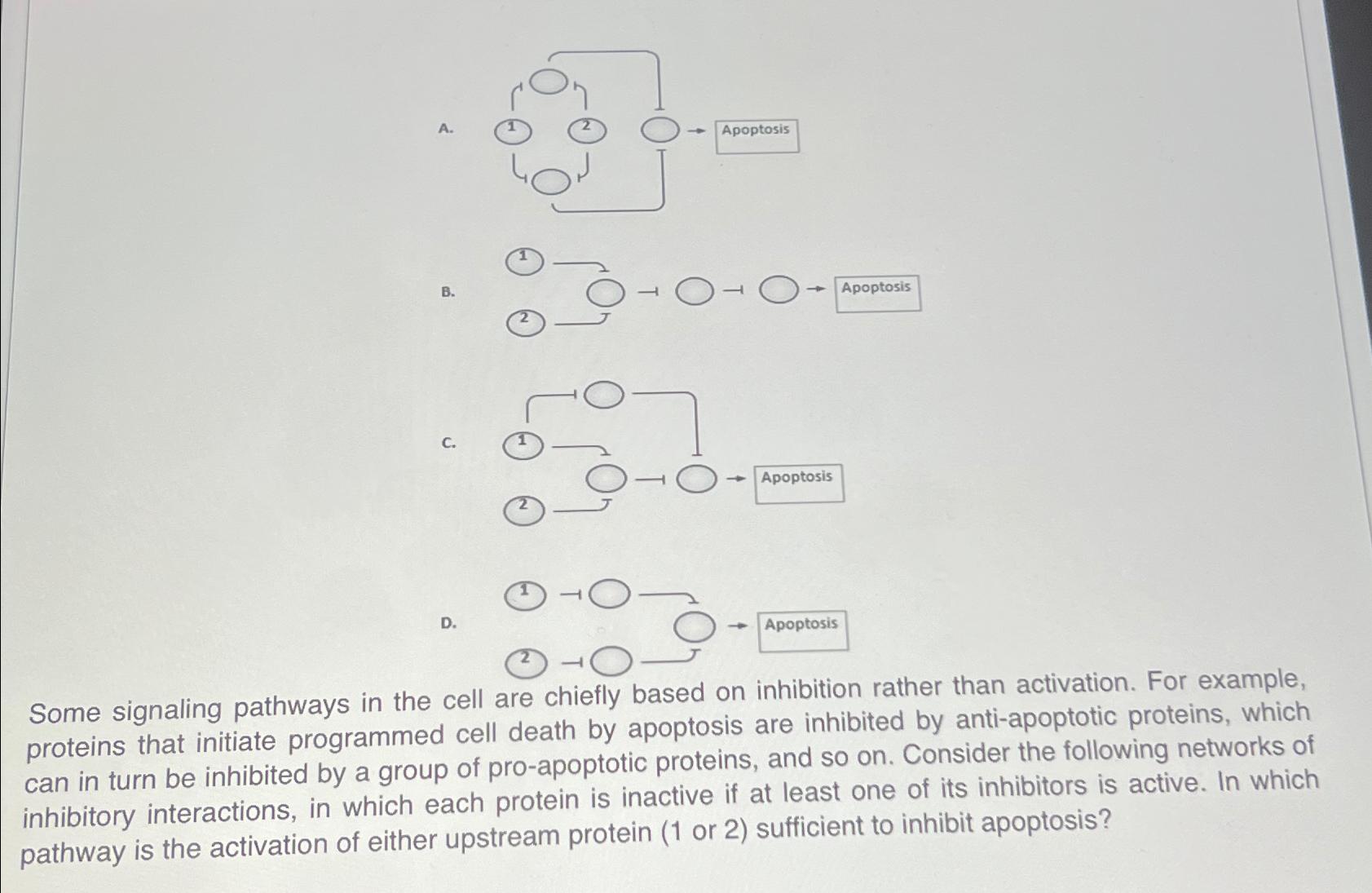 Solved A.в.c.D.Some signaling pathways in the cell are | Chegg.com