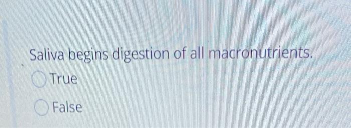 Solved The voluntary phase of swallowing is referred to as | Chegg.com