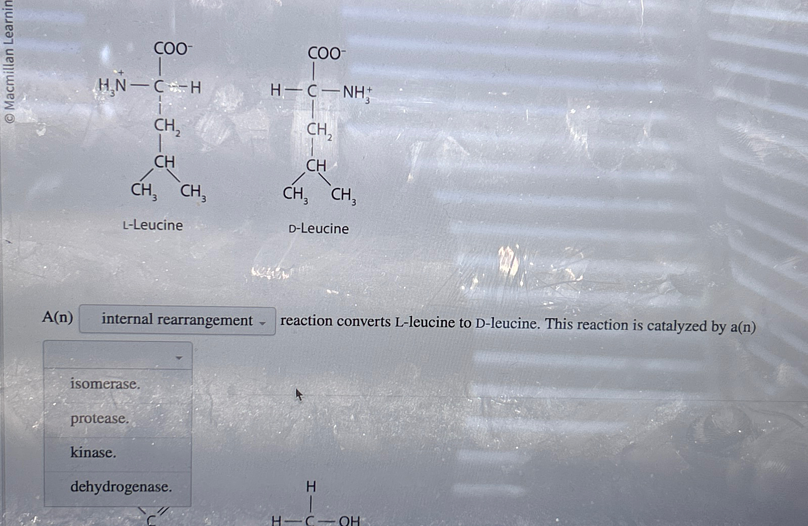 Solved L-LeucineD-LeucineA(n) ﻿reaction converts L-leucine | Chegg.com