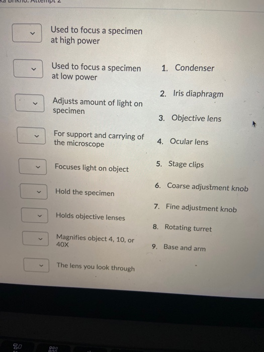 Solved Used to focus a specimen at high power Used to focus | Chegg.com