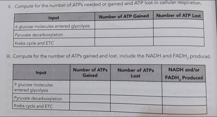Solved II. Compute for the number of ATPs needed or gained | Chegg.com