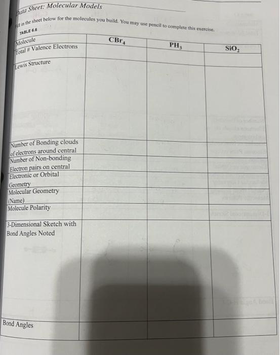 Solved pata Sheet: Molecular Models fif in the sheet below | Chegg.com