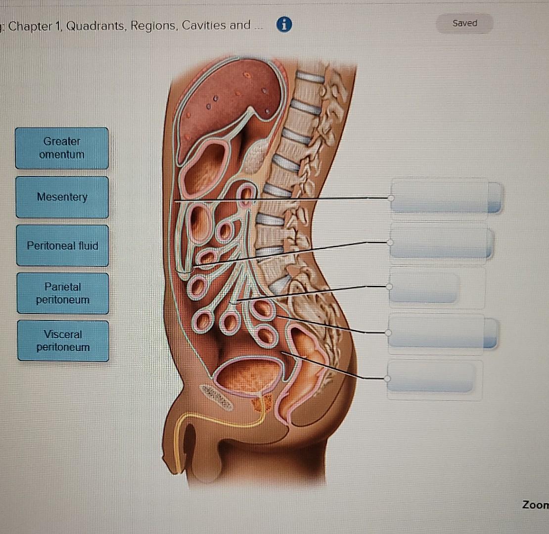Solved Saved 9 Chapter 1, Quadrants, Regions, Cavities and | Chegg.com
