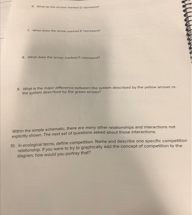 ECOSYSTEMS AND POLLUTION POST LAB Name After | Chegg.com