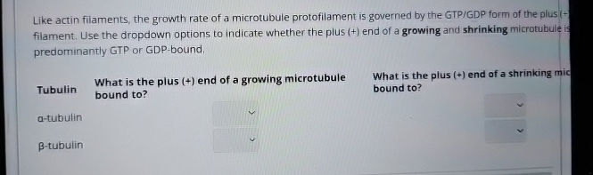 Solved Like actin filaments, the growth rate of a | Chegg.com