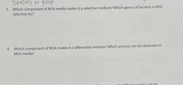 Solved Species or group. 3. Which component of MSA media | Chegg.com