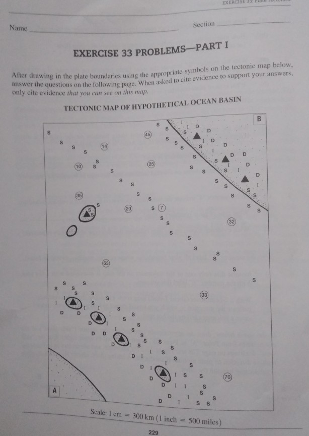 EXERCISE 33 P M Name Section EXERCISE 33 | Chegg.com