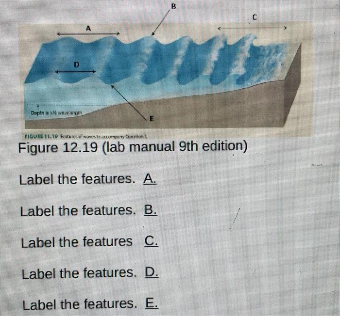 Solved Label the features C. | Chegg.com