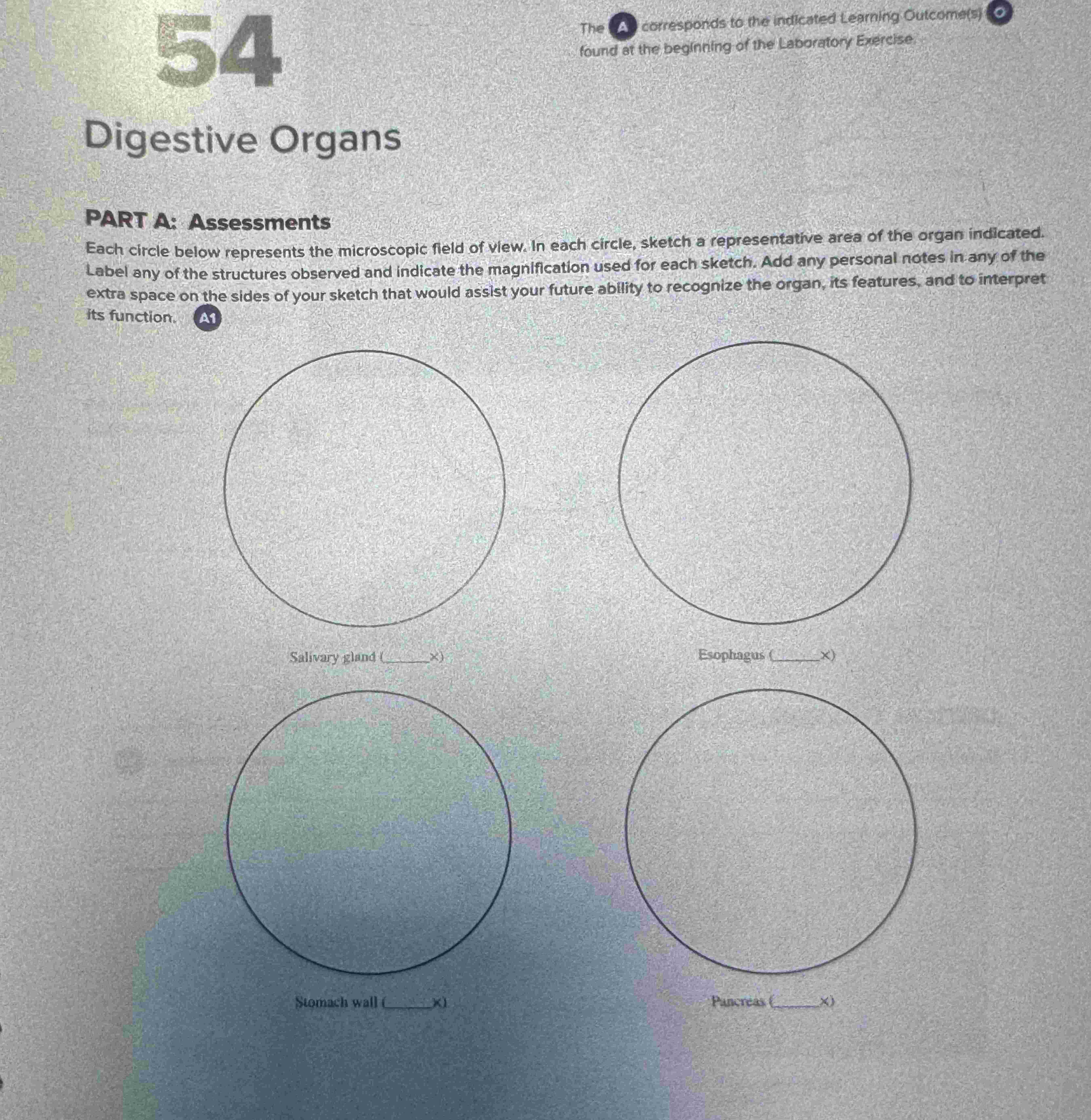 Solved Part B assessment in each circle sketch a | Chegg.com