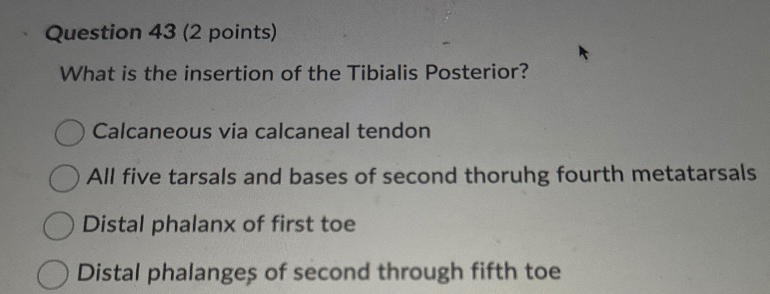Solved Question 43 (2 ﻿points)What is the insertion of the | Chegg.com