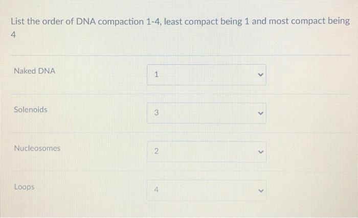 Solved List the order of DNA compaction 1-4, least compact | Chegg.com