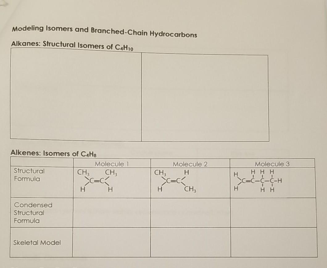 Solved Modeling Isomers and Branched-Chain Hydrocarbons | Chegg.com