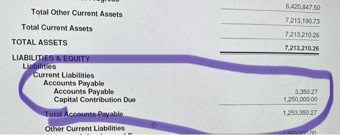 Solved what is a capital contribution due account on the | Chegg.com