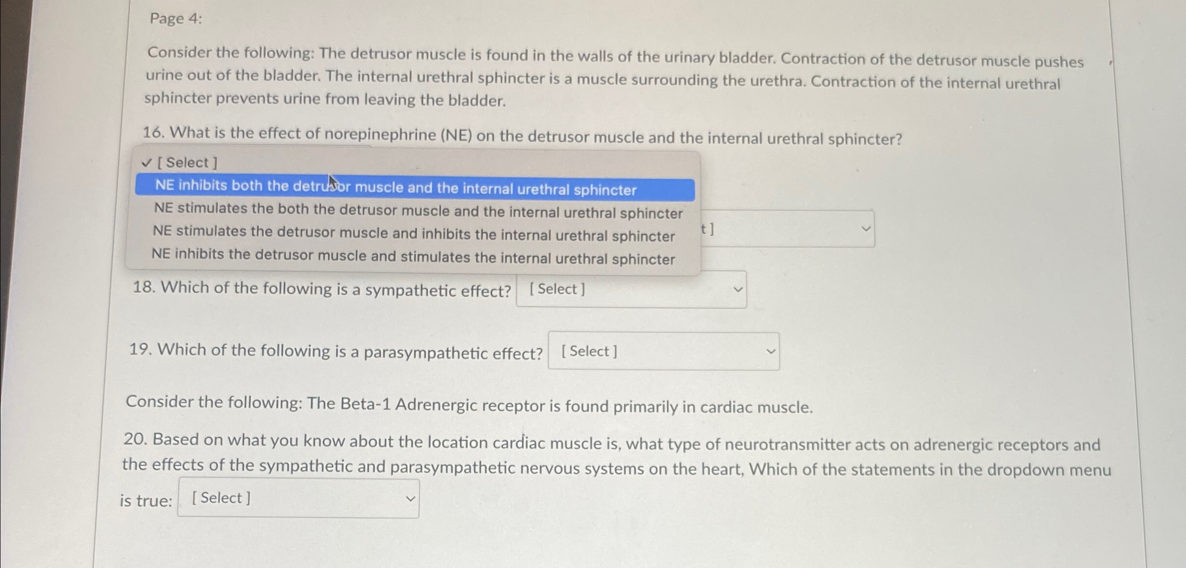 Solved Page 4:Consider the following: The detrusor muscle is | Chegg.com