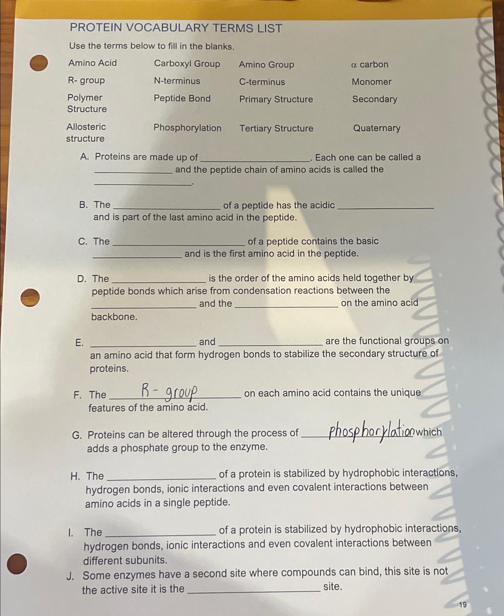 Solved PROTEIN VOCABULARY TERMS LISTUse the terms below to | Chegg.com