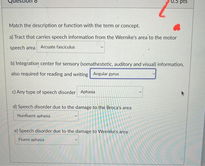Solved Match the description or function with the term or | Chegg.com
