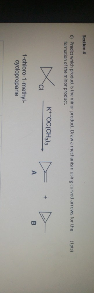 Solved Section 4 (1 pts) 6) Predict which product is the | Chegg.com