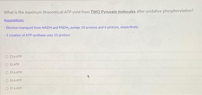 Solved What is the maximum (theoretical) ATP yield from TWO | Chegg.com