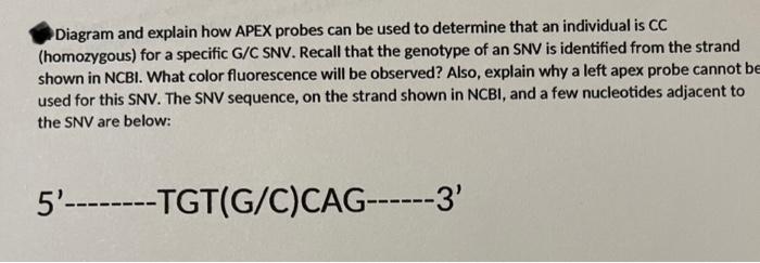 Solved Diagram and explain how APEX probes can be used to | Chegg.com