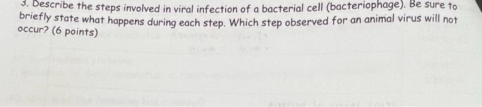 Solved 3. Describe the steps involved in viral infection of | Chegg.com