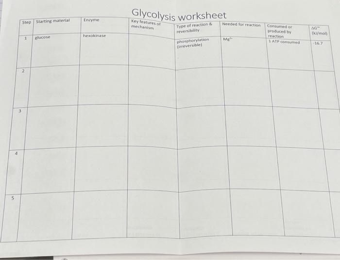 Solved Complete this glycolysis worksheet and include all | Chegg.com