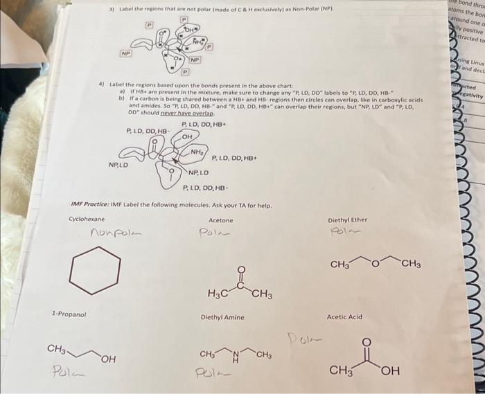 CH3 1-Propanol Cyclohexane 3) Label the regions that | Chegg.com