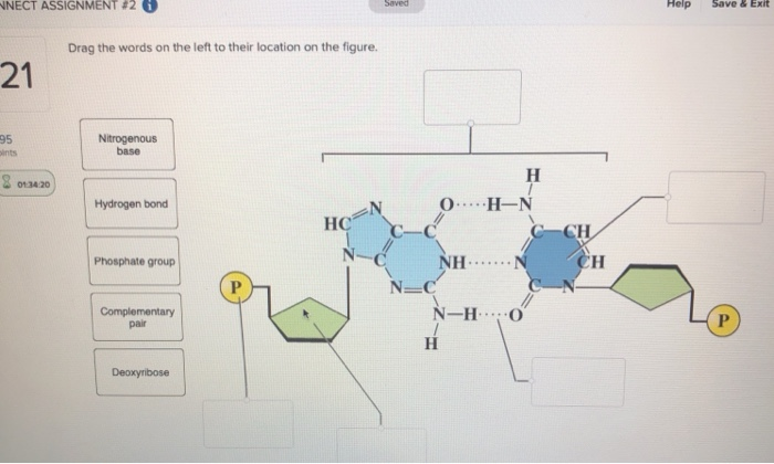 Solved Save & Exit NECT ASSIGNMENT # 2 Saved Help Drag the | Chegg.com Solved Save & Exit NECT ASSIGNMENT # 2 Saved Help Drag the | Chegg.com