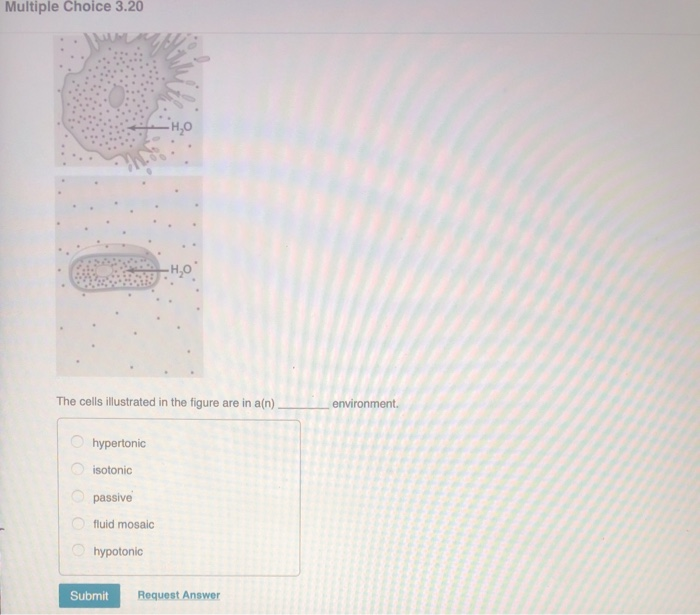 Solved Wisualize It! Chapter 3 Figure 1b Mtochondrion | Chegg.com