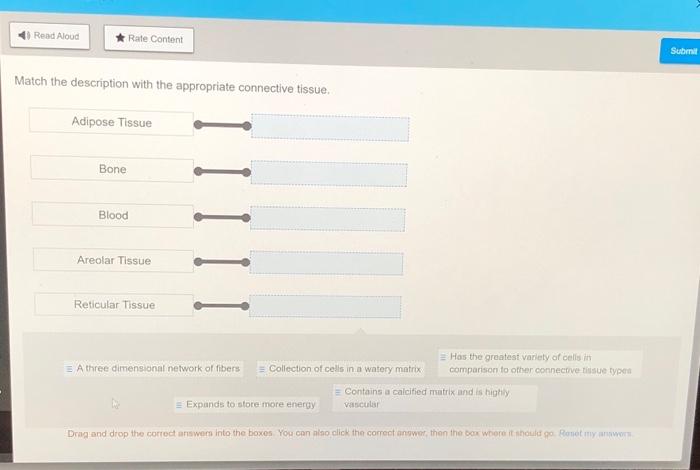 Solved Read Aloud Rate Content Submit Match the description | Chegg.com