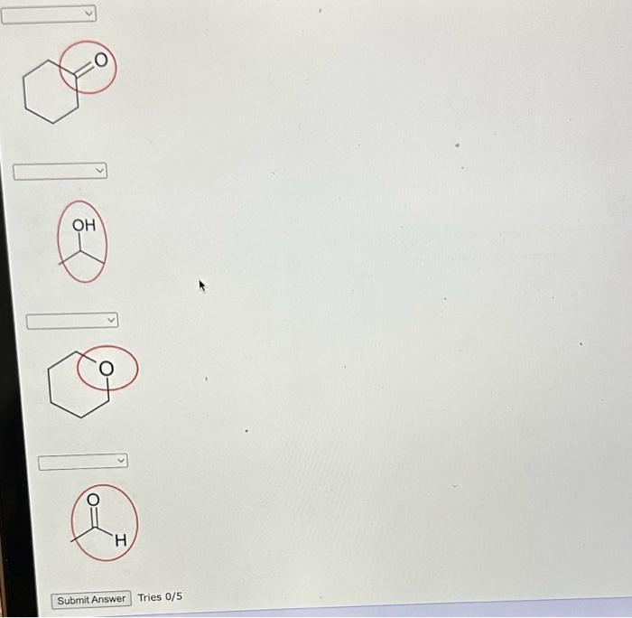 Solved Identify each functional group circled on the | Chegg.com