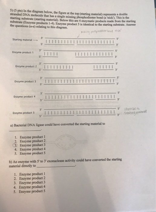 Solved 5) (5 pts) in the diagram below, the figure at the | Chegg.com