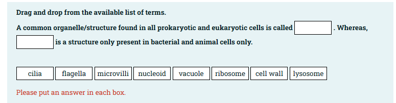 Solved A common organelle/structure found in all prokaryotic | Chegg.com