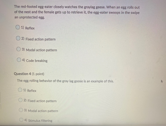 Solved Herring gull chicks peck at a red spot on the | Chegg.com
