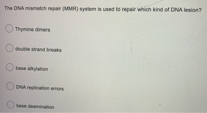 Solved The DNA mismatch repair (MMR) system is used to | Chegg.com