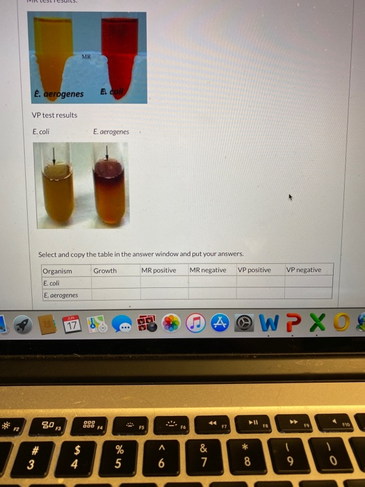 Solved MR e. aerogenes Ecoll VP test results E.coli E. | Chegg.com